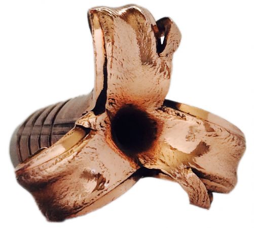 Maker bullets: 100 Grain .257 High Velocity Tipped Expanding Bullets ...